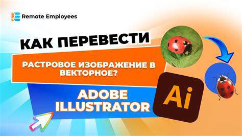 Как перевести Растровое изображение в ВЕКТОРНОЕ Adobe Illustrator
