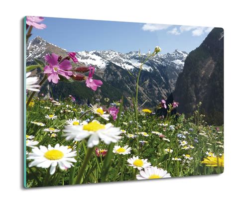 szklana osłona kuchenna Alpejska łąka góry 60x52 ArtprintCave ArtPrintCave Sklep EMPIK