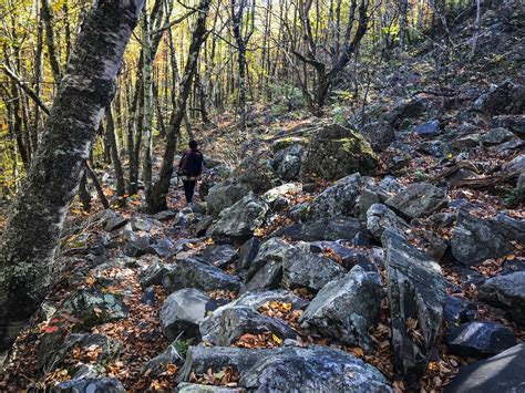 At 7 Fall In Massachusetts The Trek