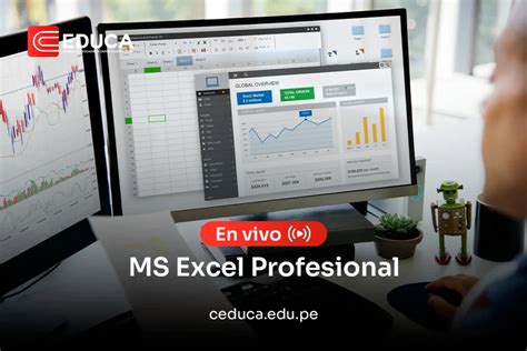 Diplomado en Microsoft Excel en vivo 2025 Ceduca Perú