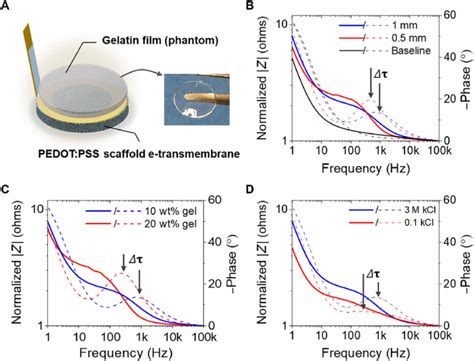 Validating The Electrochemical Operation Of The E Transmembrane Device