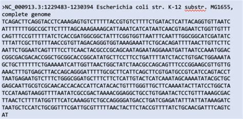 Fastq Flashcards Quizlet