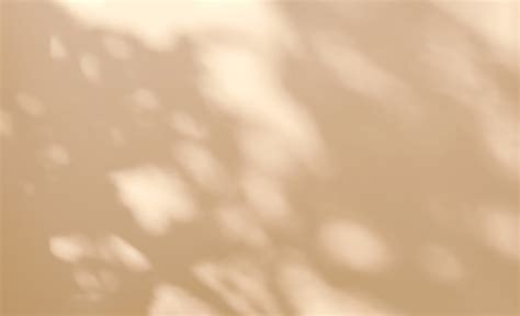 빈 베이지색 갈색 벽에 열대 나무와 나뭇잎 그림자의 아름답고 부드러운 자연 얼룩덜룩한 빛 베이지 배경에 대한 스톡 사진 및 기타 이미지 베이지 배경 그림자 그림자에