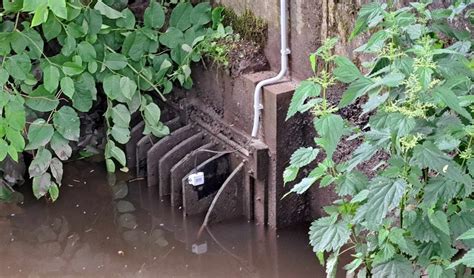 Smart Overflow Monitoring In Aquafins Sewer Network Crodeon