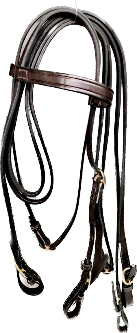 Western Bridle Trail Rider