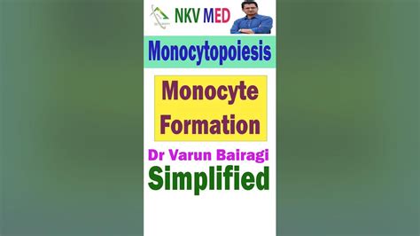 Monocytopoiesis Monocyte Maturation Shorts Medical Education Youtube