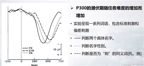 脑电信号处理与特征提取——1 脑电、诱发电位和事件相关电位（胡理）脑电信号波提取 Csdn博客