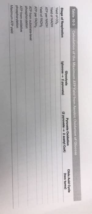Solved Table 10 5 Calculation Of The Maximum ATP Yield From Chegg Com