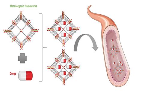 Metal Organic Frameworks For Efficient Drug Adsorption And Delivery Scientiae Radices