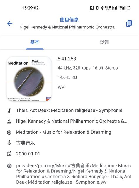 无法读取 WavPack 编码文件封面 Issue Moriafly SaltPlayerSource GitHub