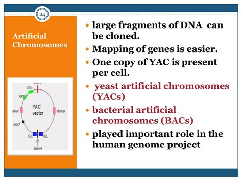 Genetic Engineering And Recombinant DNA Technology PPTX
