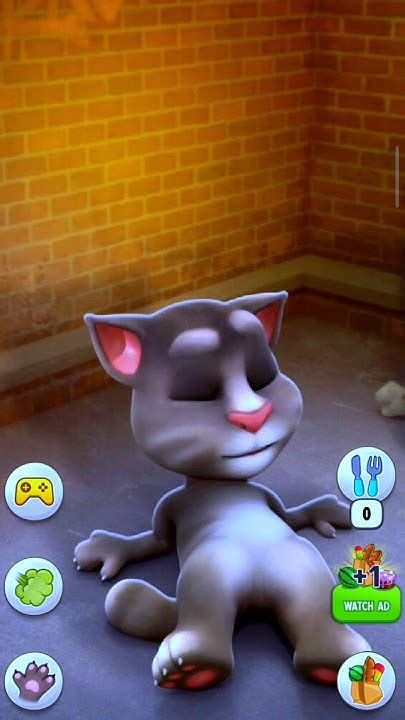 Talking Tom Fun Funny 😺 🐈 😺 🤯🤡👻 Video Talkingginger Shorts Youtube