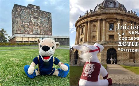 ¿cuáles Son Las Mascotas Más Famosas De Las Universidades Gu El