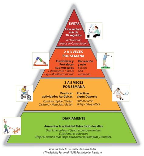 La Pirámide De Actividad Física Diaprem