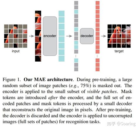 论文笔记 六 vision transformer and masked autoencoder 知乎