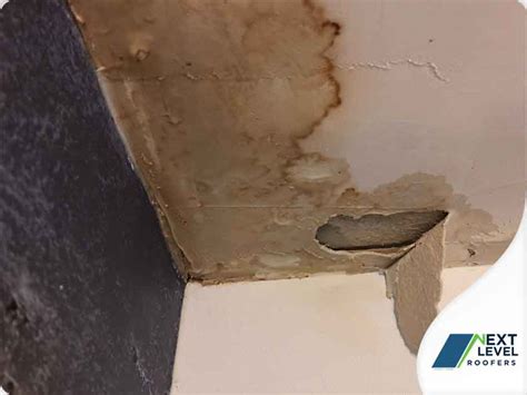 How Does Humidity Affect Your Roof