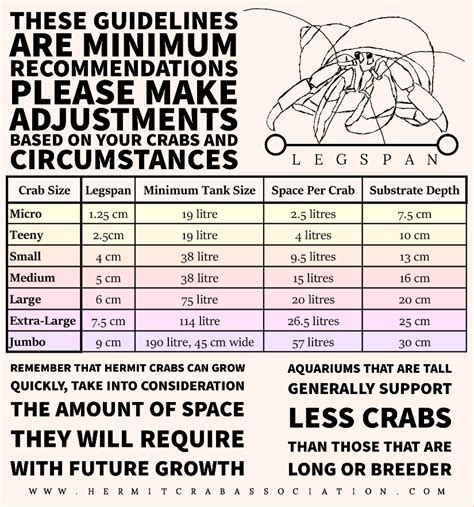 Crabitat Tank Size Crab Size And How Many Can You Have Hca Hermit