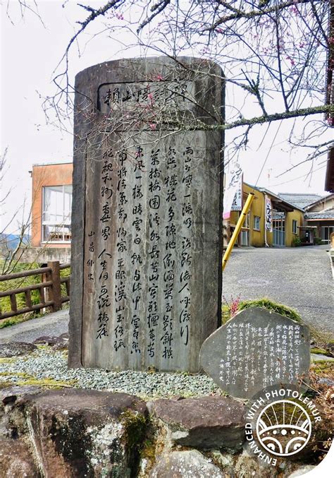 月ケ瀬梅林3 3月ケ瀬を訪れた人たち奈良市 タクヤの写真館