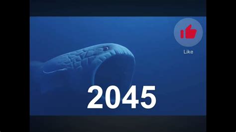 Evolution Of The Bloop Youtube