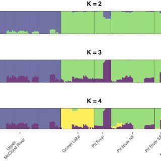 Admixture Plots From Mccloud River Trout And Other Redband Trout In