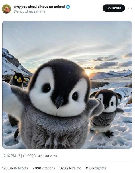 Animals That Are Too Cute To Be True How To Detect