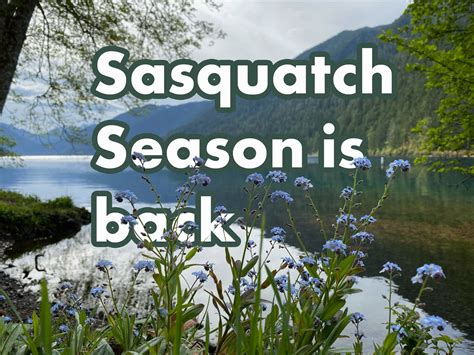 Sasquatch Season Is Back Or Did They Ever Leave Inelia Benz ~ Blog