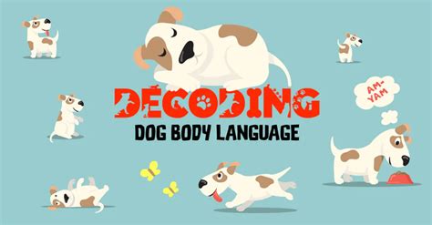 Understanding Dog Behavior Decoding Your Dogs Body Language Hair