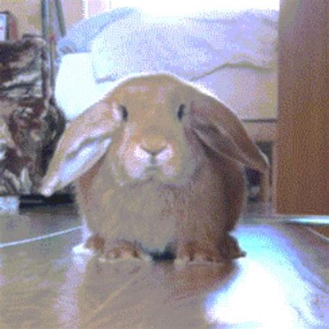 Mickey Mouse Clubhouse Hiberworld Play Create Share