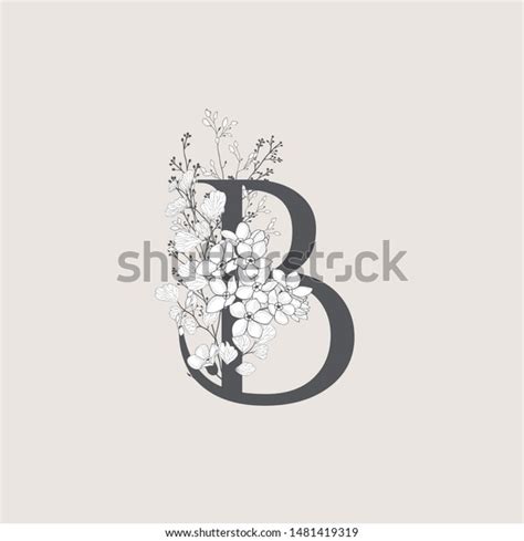 Calligraphy Alphabet Decorative Script Font Vector Stock Vector