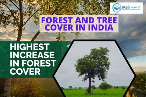 India S Forest And Tree Cover Evoking The Peacefulness And Beauty Of