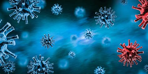 重组蛋白如何帮助研究人员研究 Sars Cov 2？