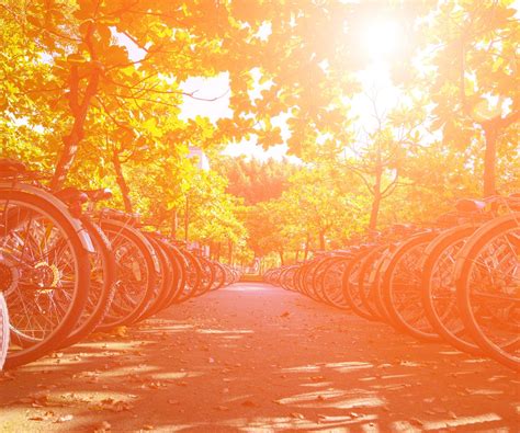 Geobike Building Location Aware Application With Redis Redis