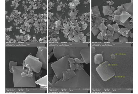 Scanning Electron Microscopic Micrographs Of Selenium Nanoparticle