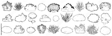 Set Of Bush And Bare Bush Decorative Garden Plants Contour Vector