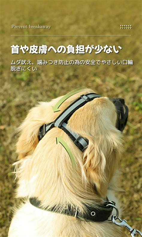 【楽天市場】ペット用 マズル 犬用マズル 口輪 無駄吠え防止 噛み癖防止 拾い食い防止 傷舐め防止 噛みつき防止 トレーニング ペット用マスク