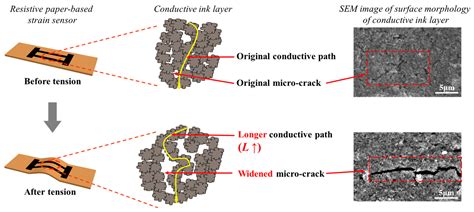 highly sensitive paper based force sensors with natural micro