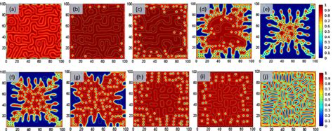 Superconducting Vortex Evolution In The Sc Layer Of Effective Gl