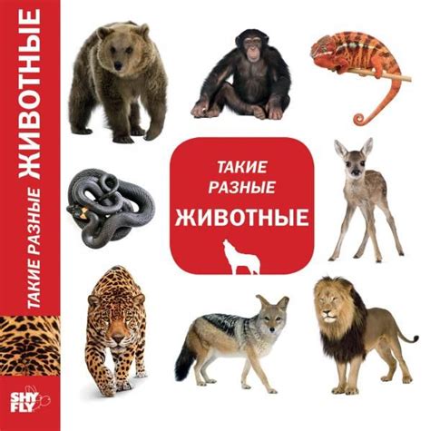 Научно-популярная литература, купить Научно-популярная литература ...