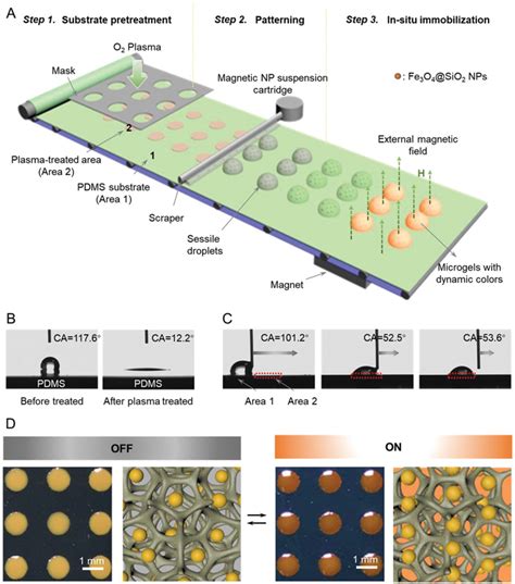 A Schematic Illustration Of The Preparation Process For Sessile Download Scientific Diagram