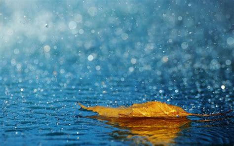 Monsoon Wallpapers Top Free Monsoon Backgrounds WallpaperAccess