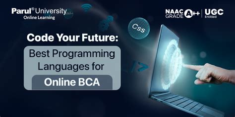 Online Bca India Top Programming Languages Pu Online