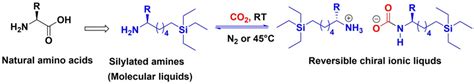 Novel Class Of Reversible Chiral Ionic Liquids Derived From Natural Amino Acids Synthesis And