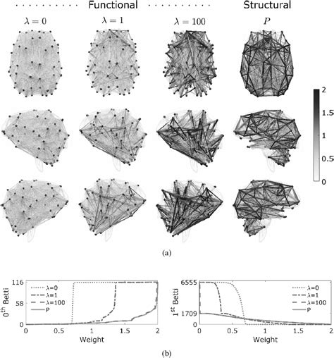 Figure 5 From Topological Learning For Brain Networks By Tananun