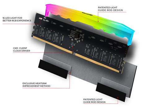V Color Introduces The World S First Ddr5 Rgb O Cudimm Techpowerup Forums