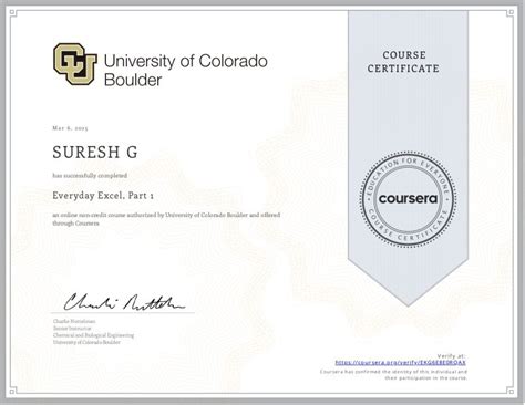 Excel Dataanalysis Lifelonglearning Coursera Professionalgrowth Suresh Swordz