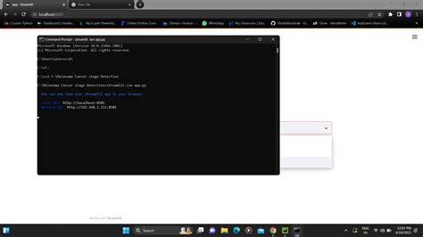 GitHub AniruddhaChitte Melanoma Skin Cancer Stage Detection