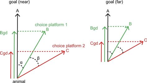Vector Based Navigation Schema Left The Hippocampus Represents A Download Scientific Diagram