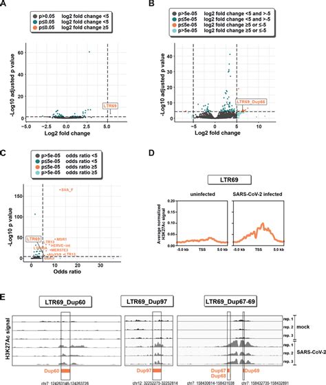 Activation Of LTR69 Repeats Upon SARS CoV 2 Infection A Volcano Plot