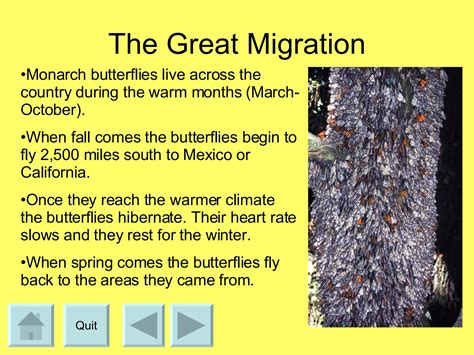 The Life Cycle Of The Monarch Butterfly Ppt