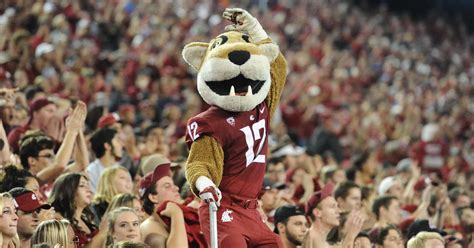 How To Watch WSU Vs OSU Football Game Time TV Schedule Stream And More CougCenter